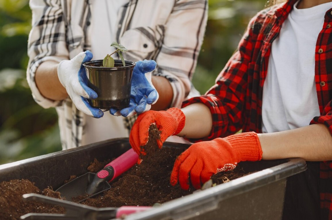 Skills required to Start a Landscaping Business - Start Your Own